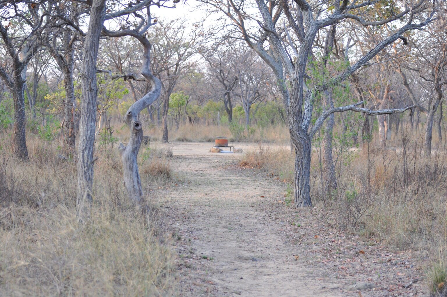 About Us - Matamba Bush Camp